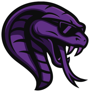 Team Cobra (Team Cobra) Dota 2