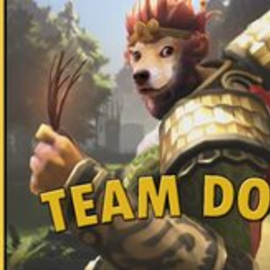 Команда Doge (Team Doge) Dota 2