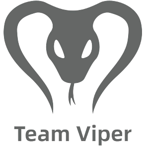 Team Viper (Team Viper) Dota 2