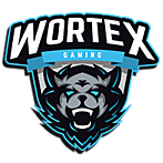 Команда Wortex (Wortex Gaming) CS 2