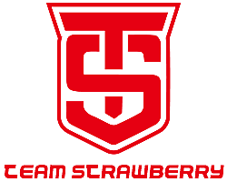 Team Strawberry (Team Strawberry) Dota 2