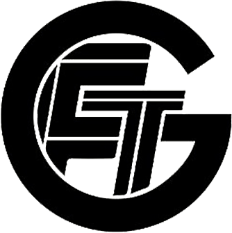 Team FTG (From the gamer) Overwatch